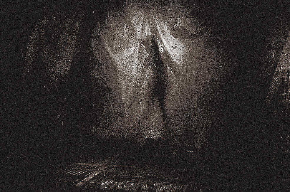 * DEAREST CREATURES.